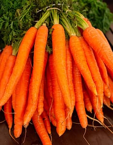 Getting to the Root of It: A Carrot Sorbet - Frosted Fusions