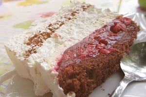 Homemade Black Forest Ice Cream Cake - Frosted Fusions