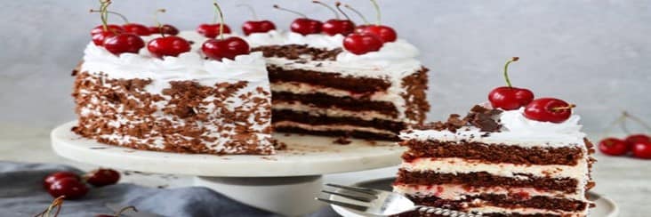 Homemade Black Forest Ice Cream Cake - Frosted Fusions