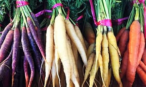 Getting to the Root of It: A Carrot Sorbet - Frosted Fusions